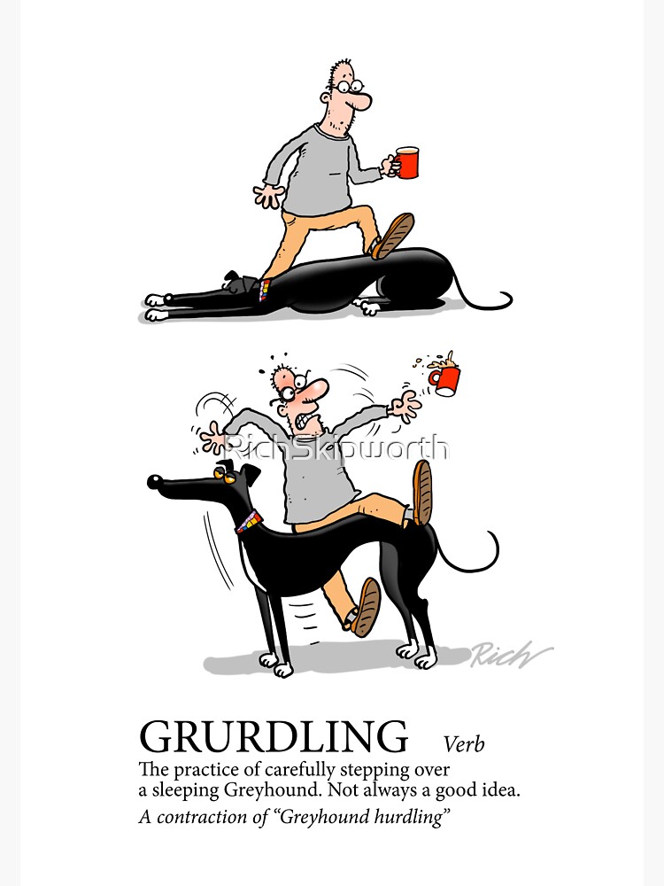 "Greyhound Glossary: Grurdling" Sticker for Sale by RichSkipworth ...