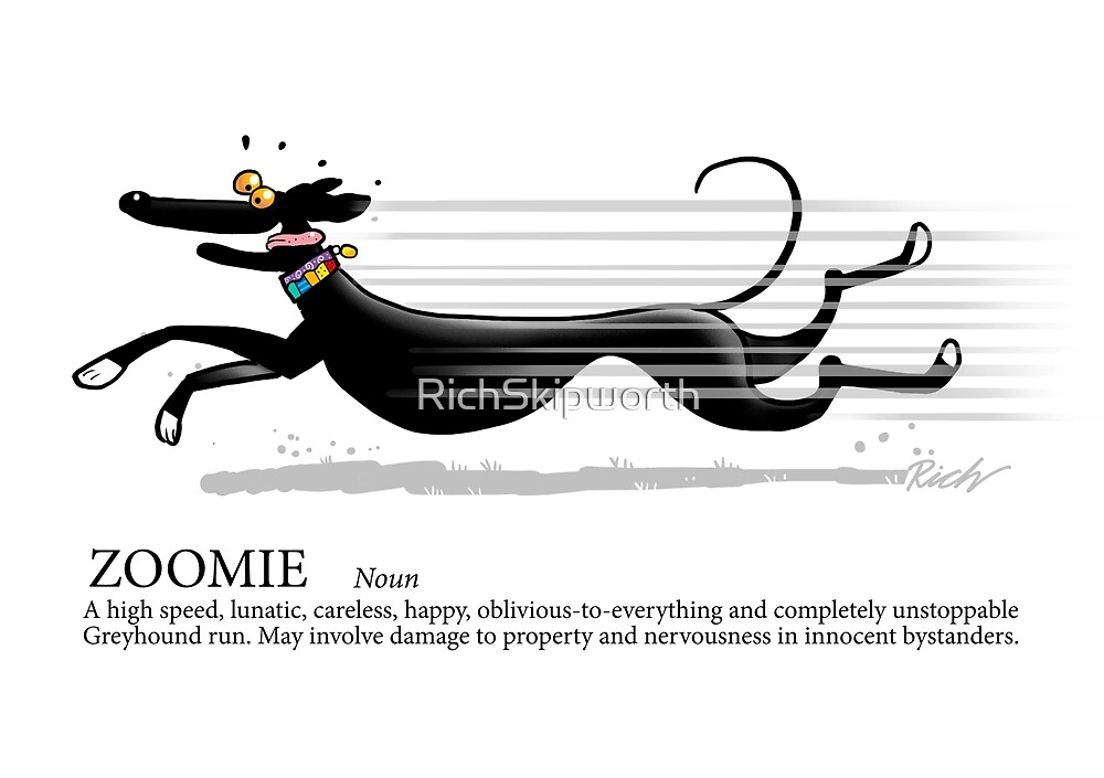 "Greyhound Glossary: Zoomie" by RichSkipworth | Redbubble