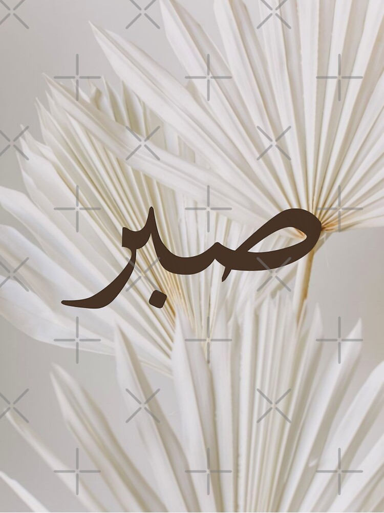"Sabr arabic calligraphy aesthetic " Sticker for Sale by Nishad4 ...