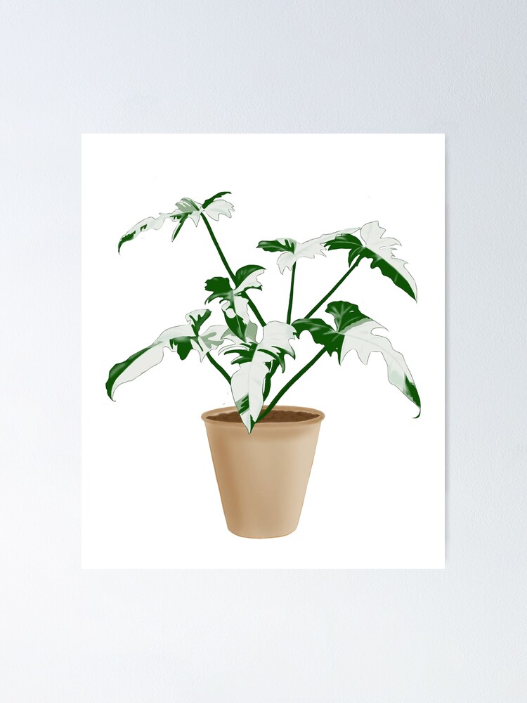 "Philo Dragon" Poster for Sale by Richy-Artist | Redbubble