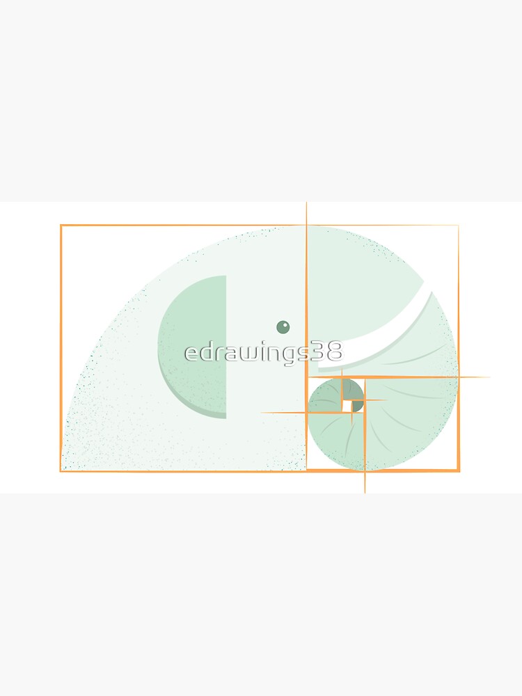 "Elephant Fibonacci Golden ratio Cute funny geek illustration" Cap for ...