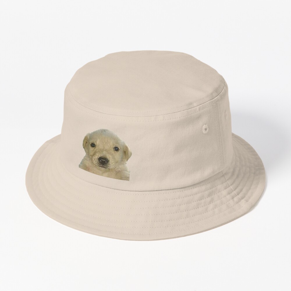 "Jotchua meme jotchua dog " Bucket Hat for Sale by romanticists | Redbubble