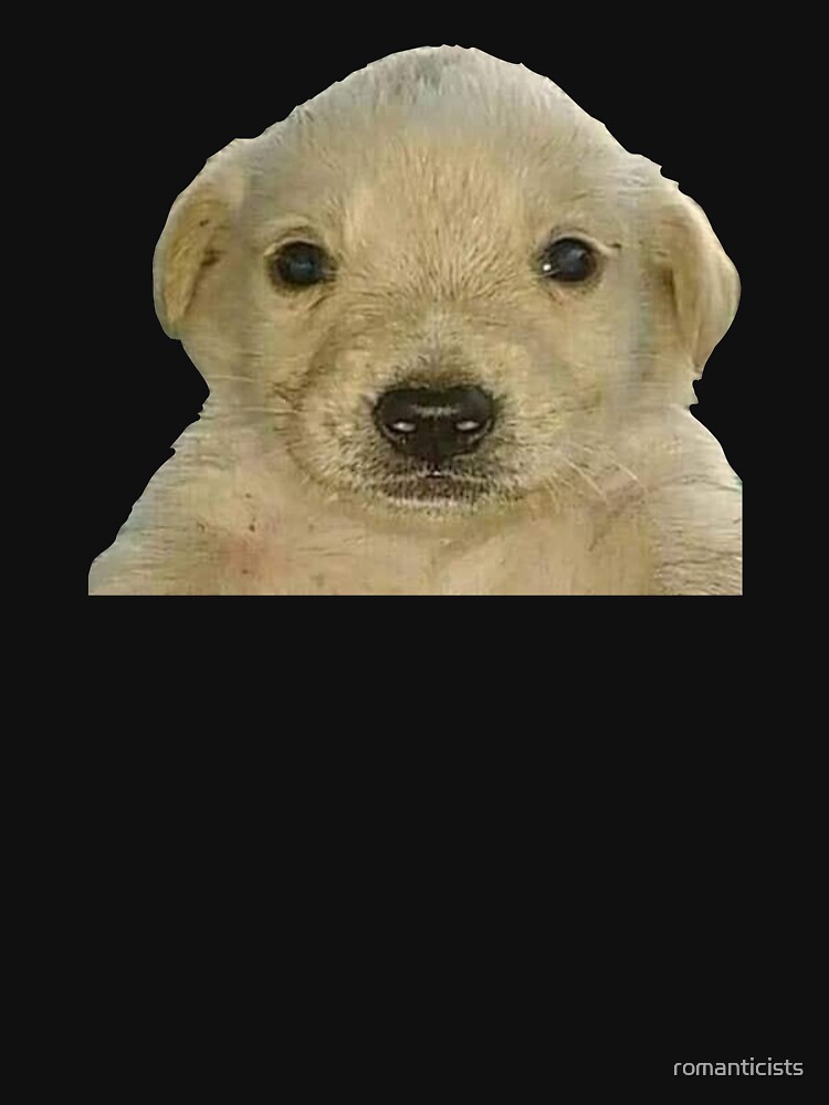 "Jotchua meme jotchua dog " Pullover Hoodie for Sale by romanticists ...