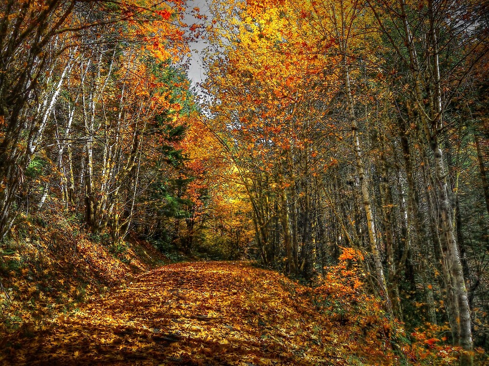 "The Old Back Road" by Charles & Patricia Harkins ~ Picture Oregon ...