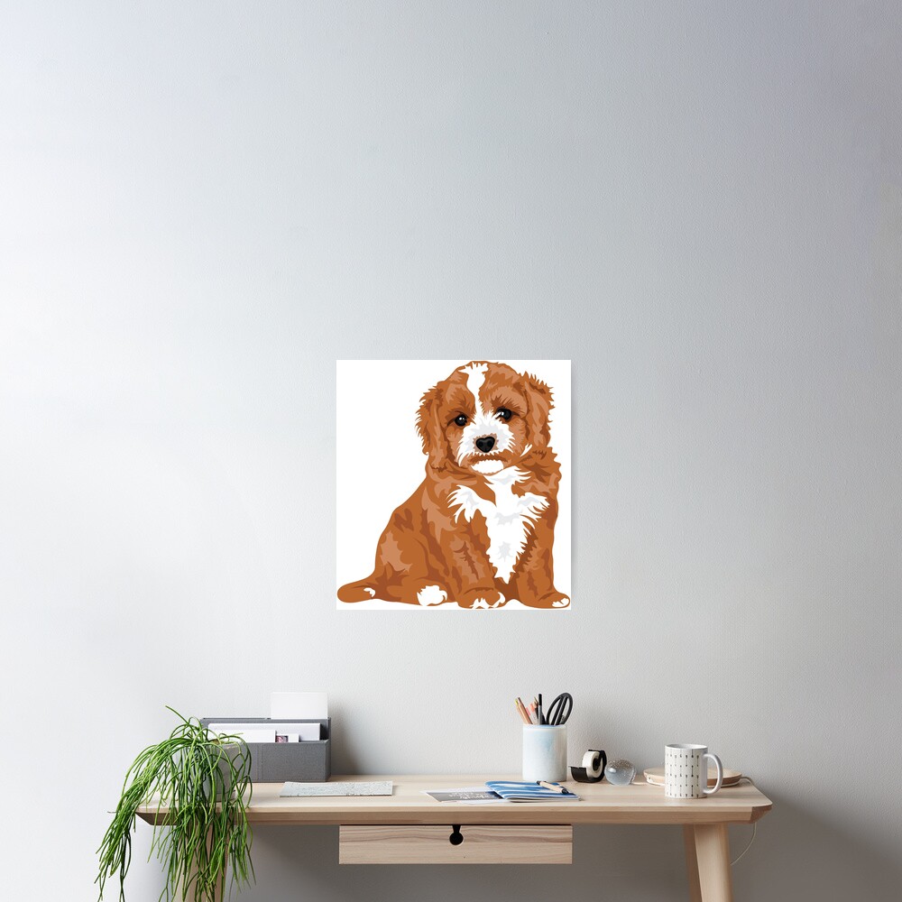 "Cavapoo Cartoon" Poster by hkerkering123 | Redbubble