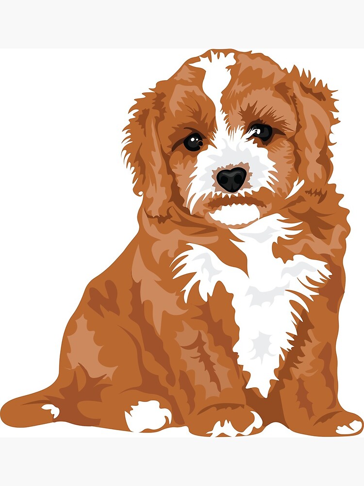 "Cavapoo Cartoon" Poster for Sale by hkerkering123 | Redbubble