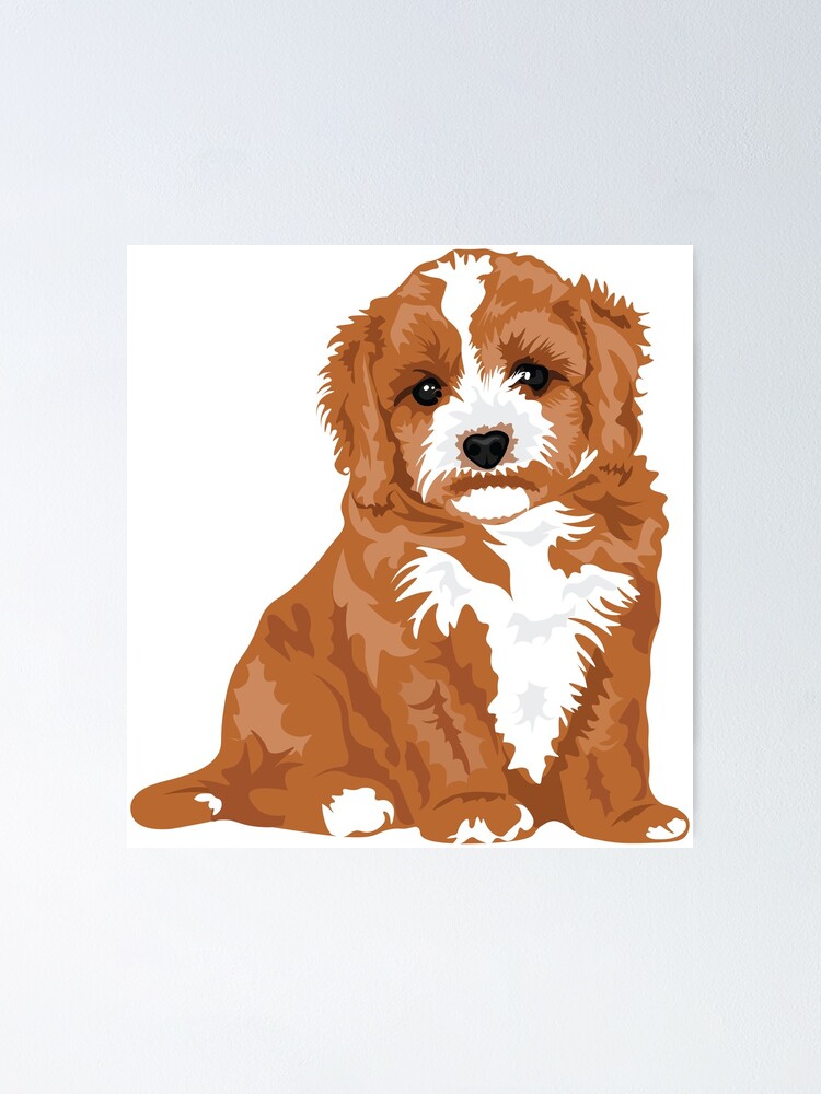 "Cavapoo Cartoon" Poster for Sale by hkerkering123 | Redbubble