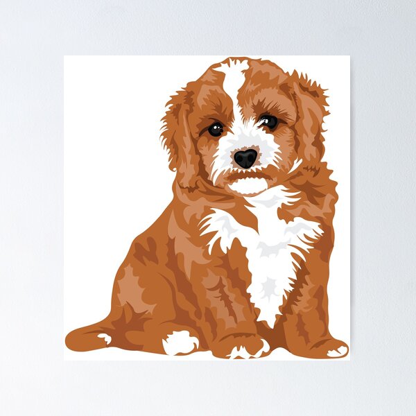 "Cavapoo Cartoon" Poster for Sale by hkerkering123 | Redbubble