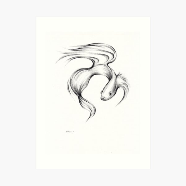 "Graceful - Koi fish charcoal drawing" Art Print by tranquilwaters ...