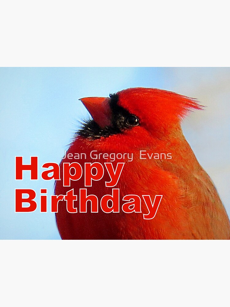"Red Cardinal - Happy Birthday Card" Sticker for Sale by jgevans ...