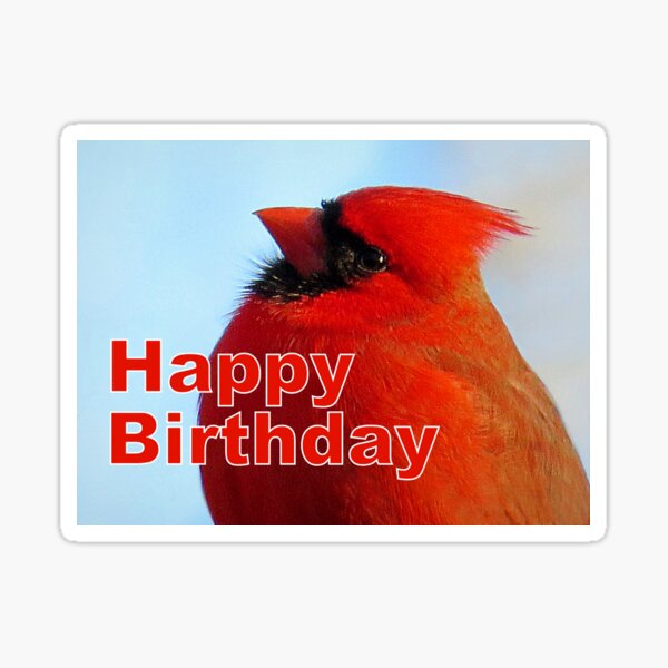 "Red Cardinal - Happy Birthday Card" Sticker for Sale by jgevans ...