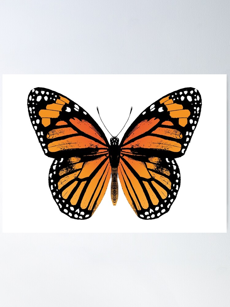 "Monarch Butterfly | Vintage Butterflies | " Poster for Sale by ...