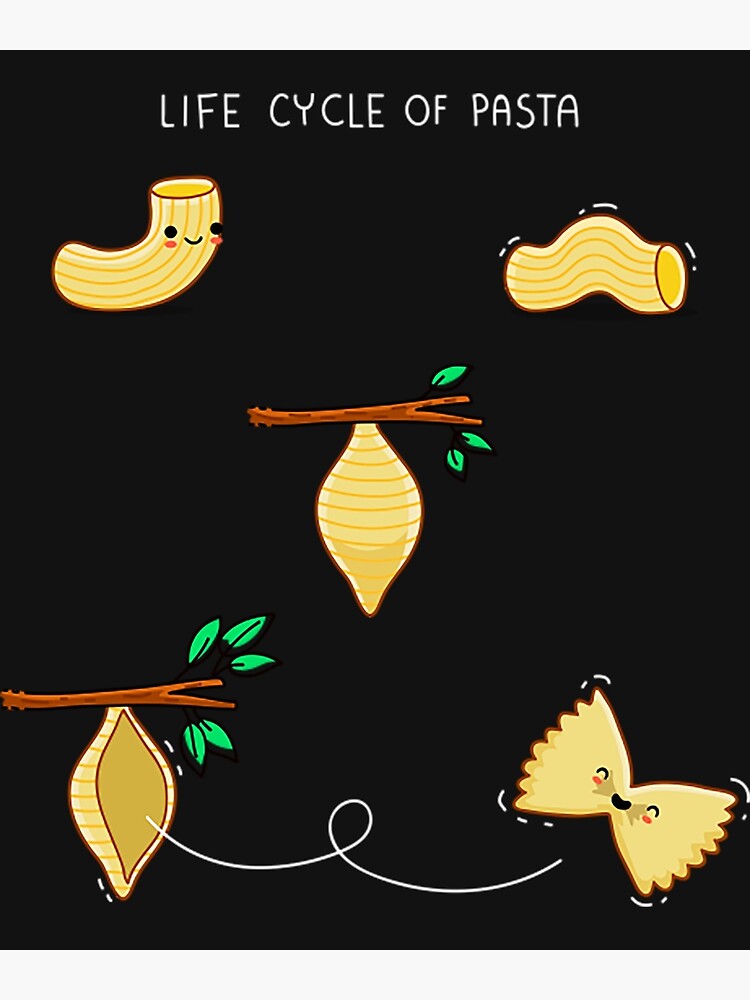 Life cycle of pasta Premium Matte Vertical Poster sold by & j security ...