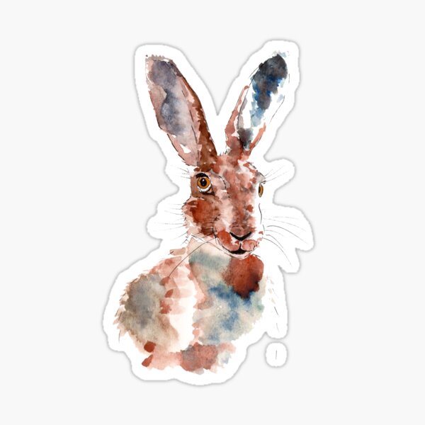 "Woodland Hare" Sticker for Sale by RNDtheCorner | Redbubble