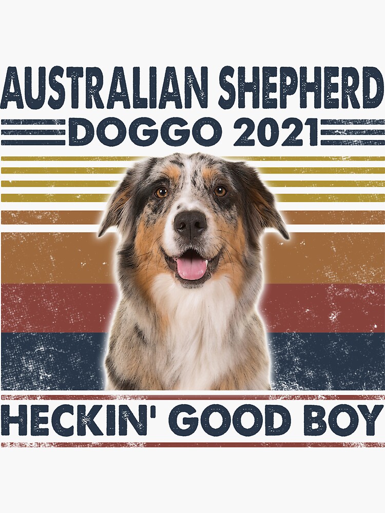 "Australian Shepherd Doggo 2021 Heckin Good Boy Vintage" Sticker for ...