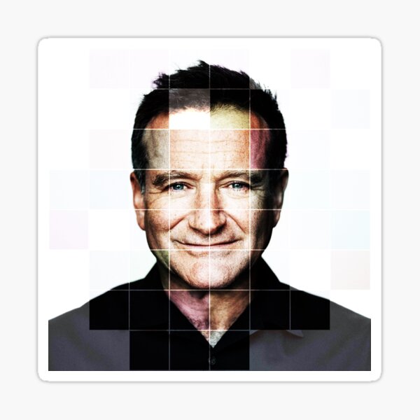 "Robin Williams" Sticker for Sale by JP11STY | Redbubble