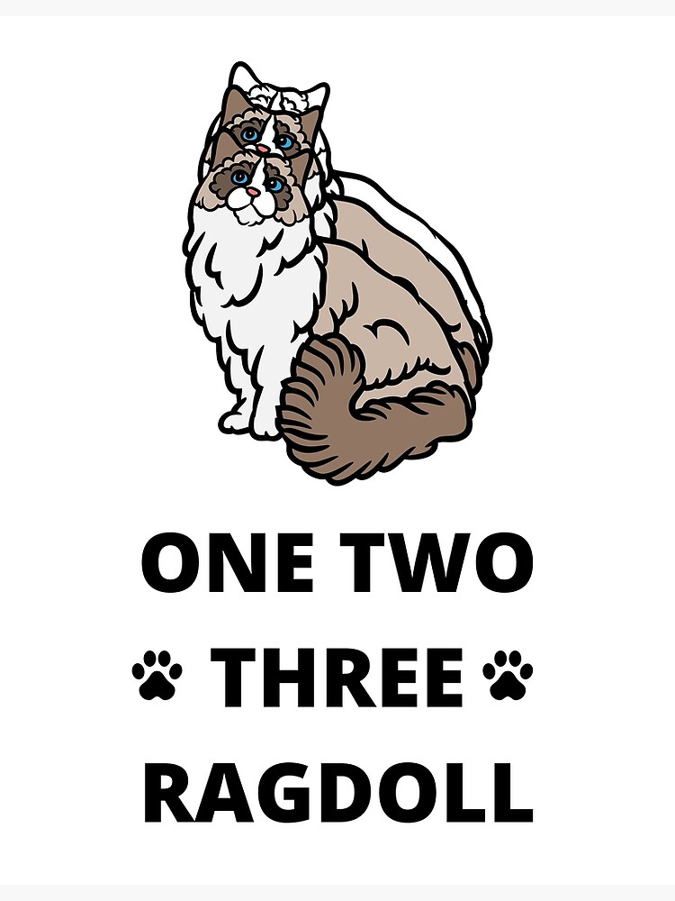 "One Two Three Cat Ragdoll One Two Three Cat Shirt" Poster by ...