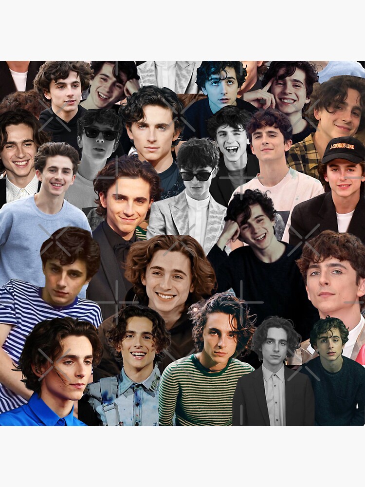 "Timothee Chalamet photo collage" Sticker for Sale by mahmoudrakha ...
