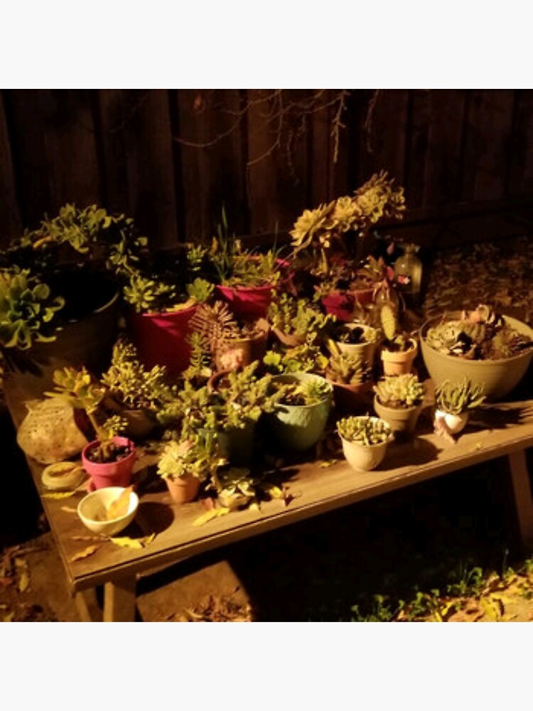 "So Long, Partner" Sticker for Sale by Coli-Kiss | Redbubble