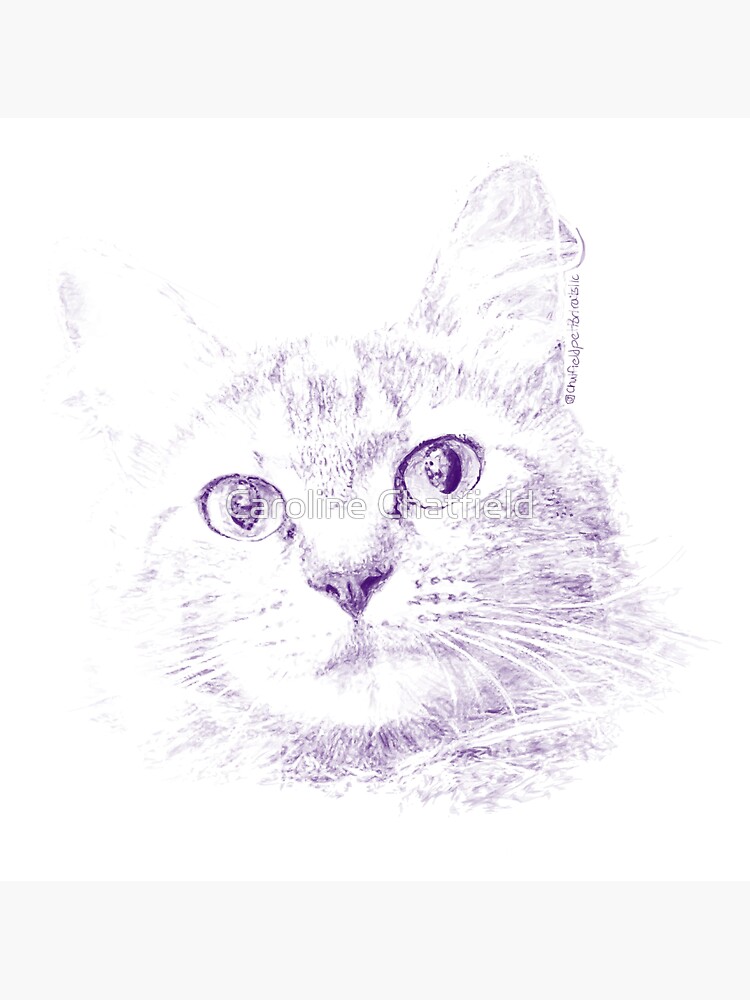 "Purple Cat Drawing" Sticker for Sale by ChatfieldPtPt | Redbubble