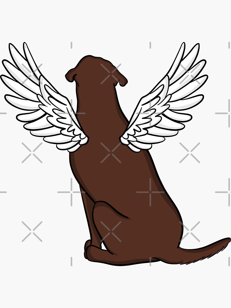"My Guardian Angel: Chocolate Labrador Retriever " Sticker for Sale by ...