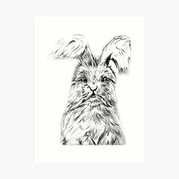 "English Angora " Art Print for Sale by YollieBeeArt | Redbubble
