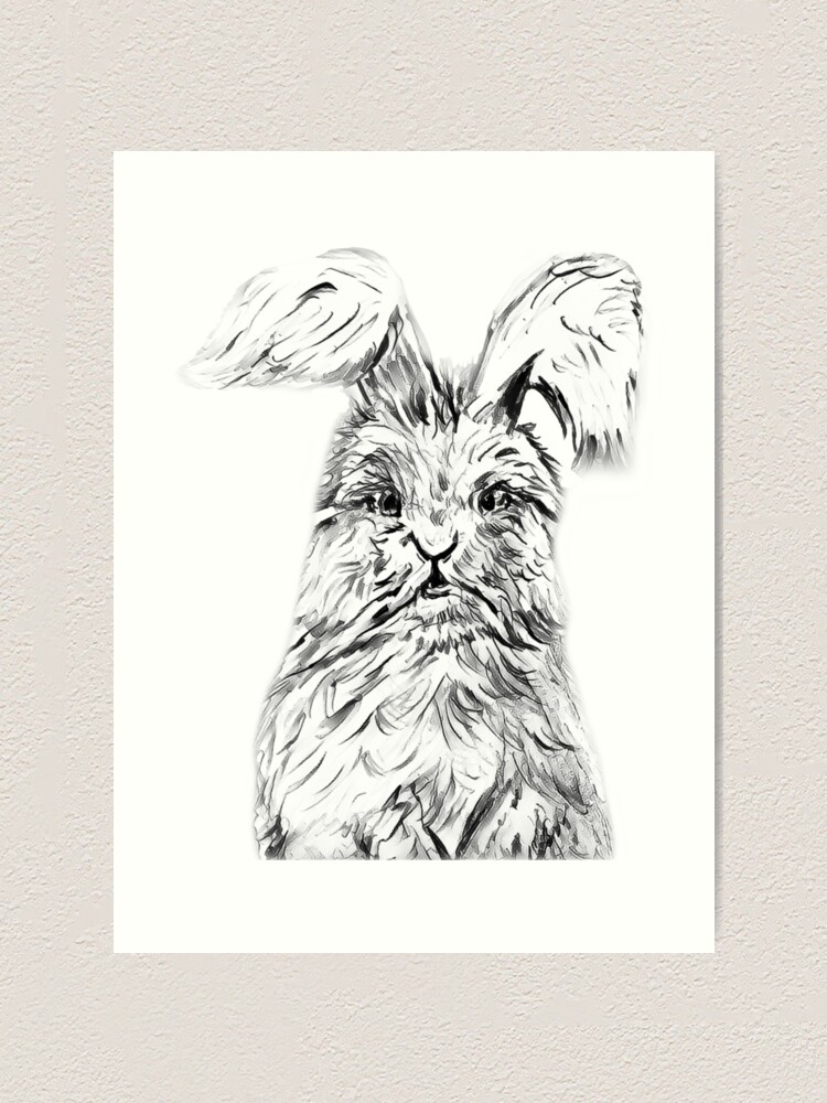 "English Angora " Art Print for Sale by YollieBeeArt | Redbubble