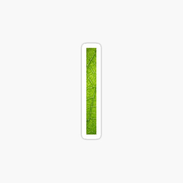 "Chlorophyll" Sticker for Sale by bpatrickvoice | Redbubble