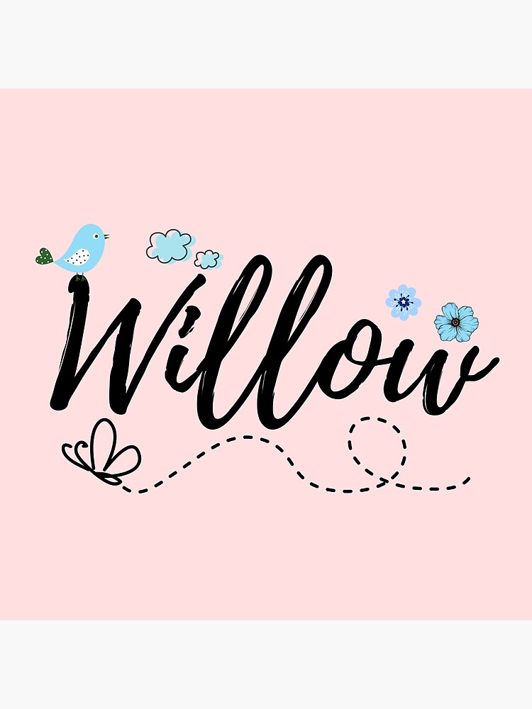 "Willow Name Baby Child Girl Pretty Flowers | Name Design Pink Blue ...