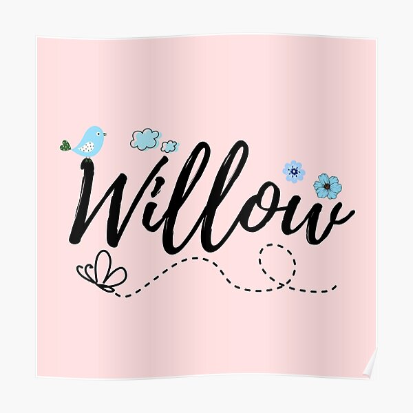 "Willow Name Baby Child Girl Pretty Flowers | Name Design Pink Blue ...