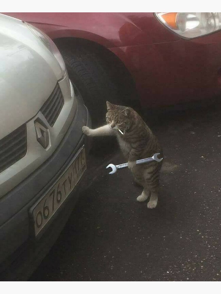 "Cat Mechanic" Sticker for Sale by shitpostanon | Redbubble