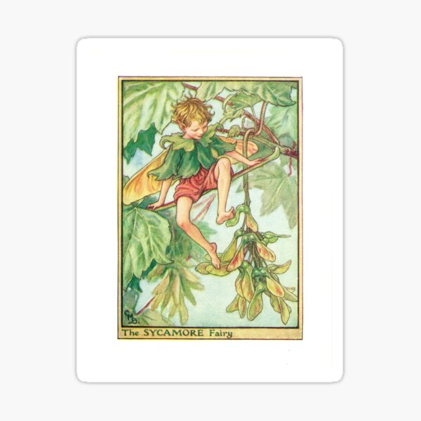 "Incredible Sycamore Fairy" Sticker for Sale by Studio66Designs | Redbubble