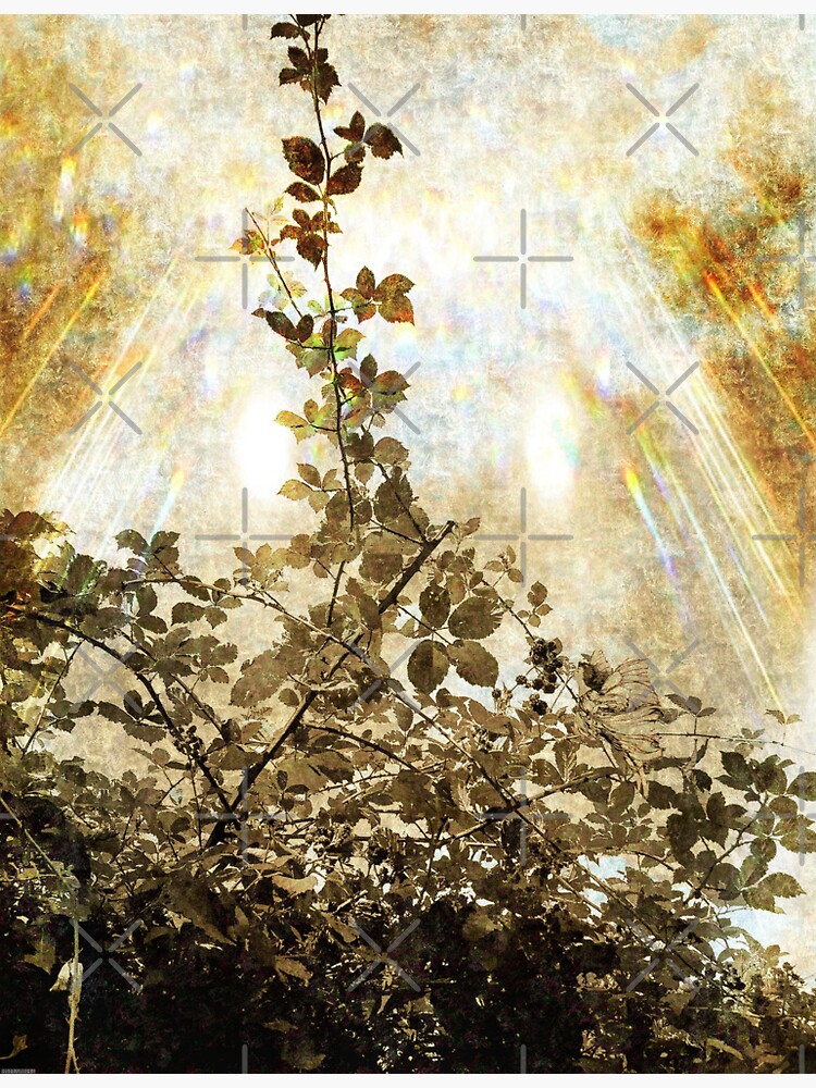 "The bramble bush fairy" Sticker for Sale by delfmeunier | Redbubble