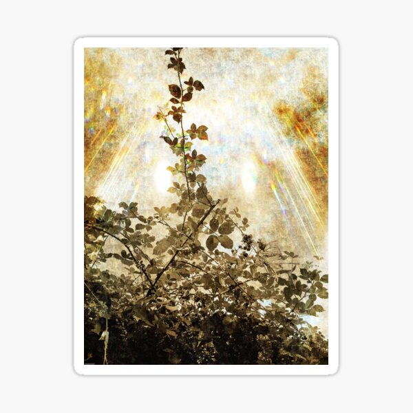 "The bramble bush fairy" Sticker for Sale by delfmeunier | Redbubble