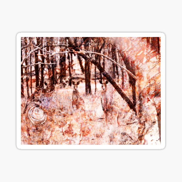 "Australian Bush" Sticker for Sale by Annmb78 | Redbubble