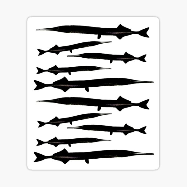 "Garfish" Sticker by fjnorman84 | Redbubble
