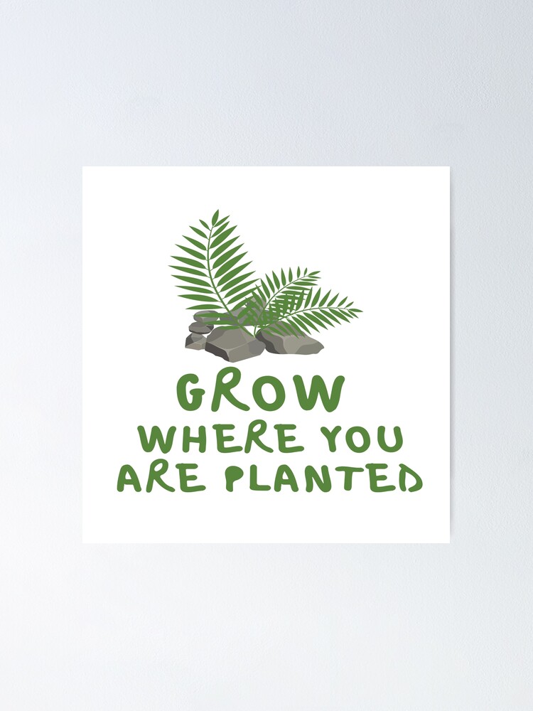 "Grow Where You Are Planted - Motivational Quotes" Poster for Sale by ...