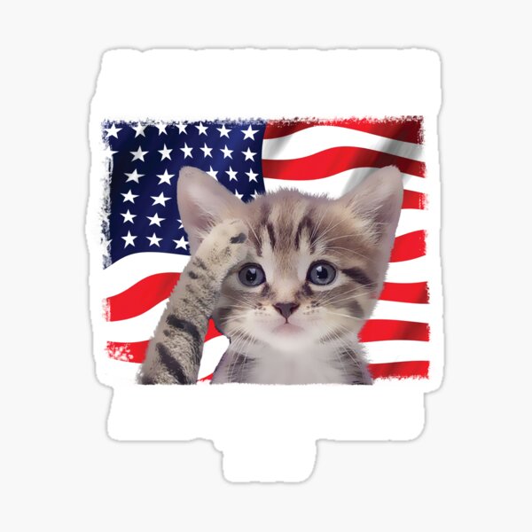 "Cat saluting" Sticker for Sale by LboutiqueUS | Redbubble