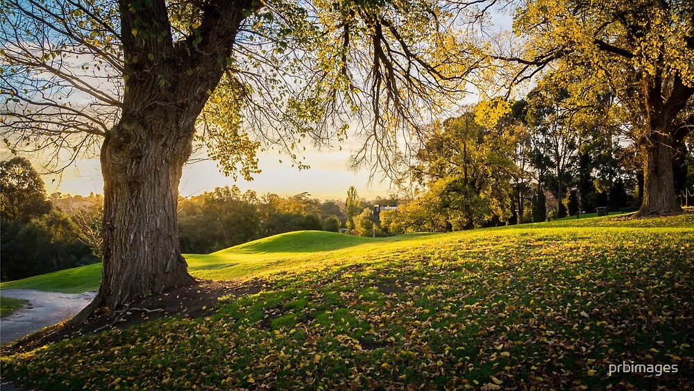 "Sunset, Ivanhoe Golf Course" by prbimages | Redbubble