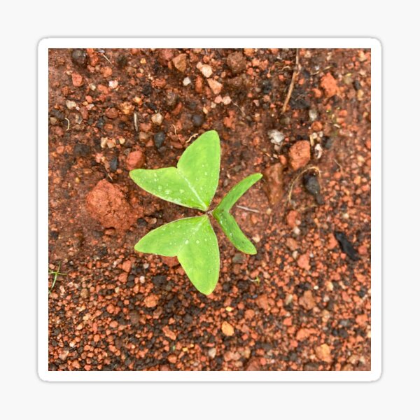 "Plant Soil" Sticker for Sale by PhotoRoomSJ | Redbubble
