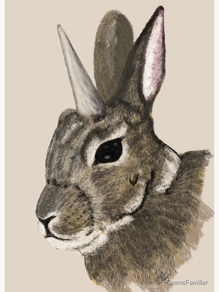 "Bunnycorn A Rabbit Unicorn" Sticker for Sale by SeemsFamiliar | Redbubble