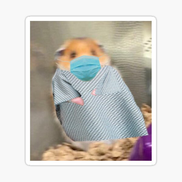 "Scared Sick Hamster" Sticker for Sale by nedaemdad | Redbubble