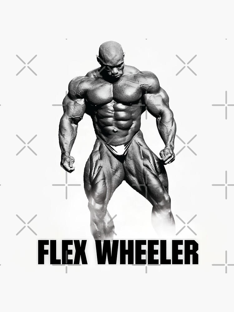 "Flex Wheeler Bodybuilder" Sticker for Sale by almeapparel | Redbubble
