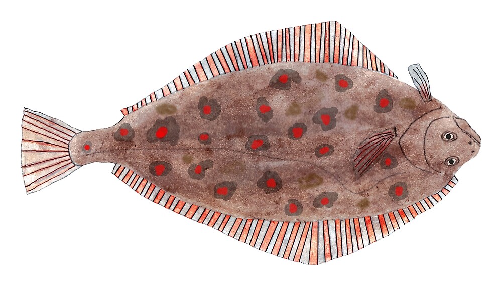 "San Juan's Halibut" by fishfolkart | Redbubble
