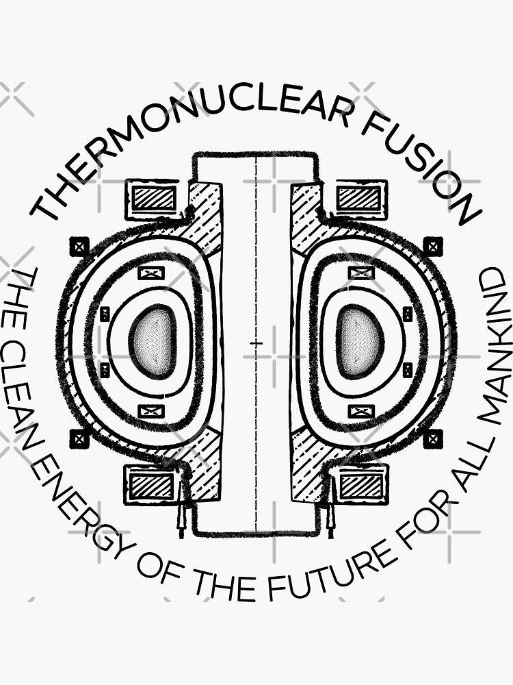 "Schematic representation of a TOKAMAK, a thermonuclear reactor being ...
