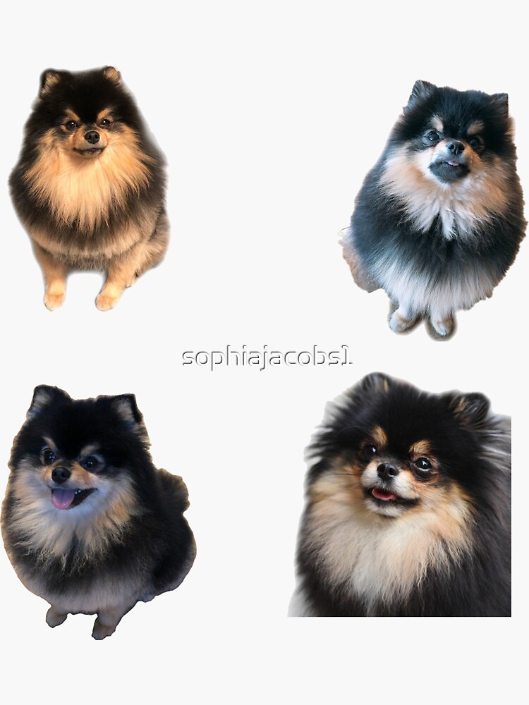 "Yeontan sticker pack" Sticker for Sale by sophiajacobs1 | Redbubble