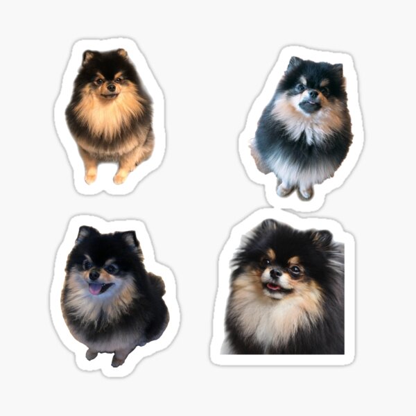 "Yeontan sticker pack" Sticker for Sale by sophiajacobs1 | Redbubble