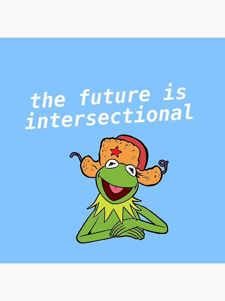 "The Future Is Intersectional - Kermit Meme" Poster by SSFootball ...