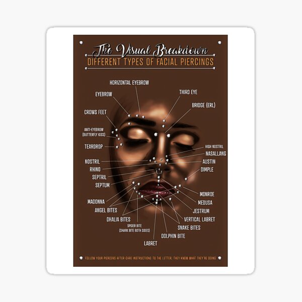 "Facial Piercings Infographic Chart Wall ArtFacial Piercings ...