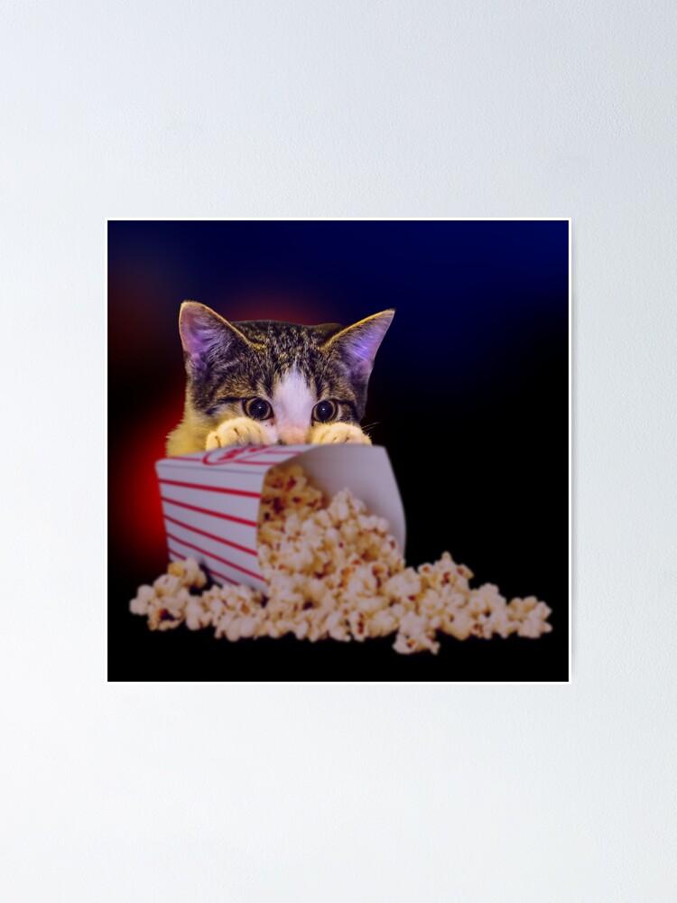 "Cat Watching Scary Movie, Hiding Behind Popcorn Box" Poster for Sale ...